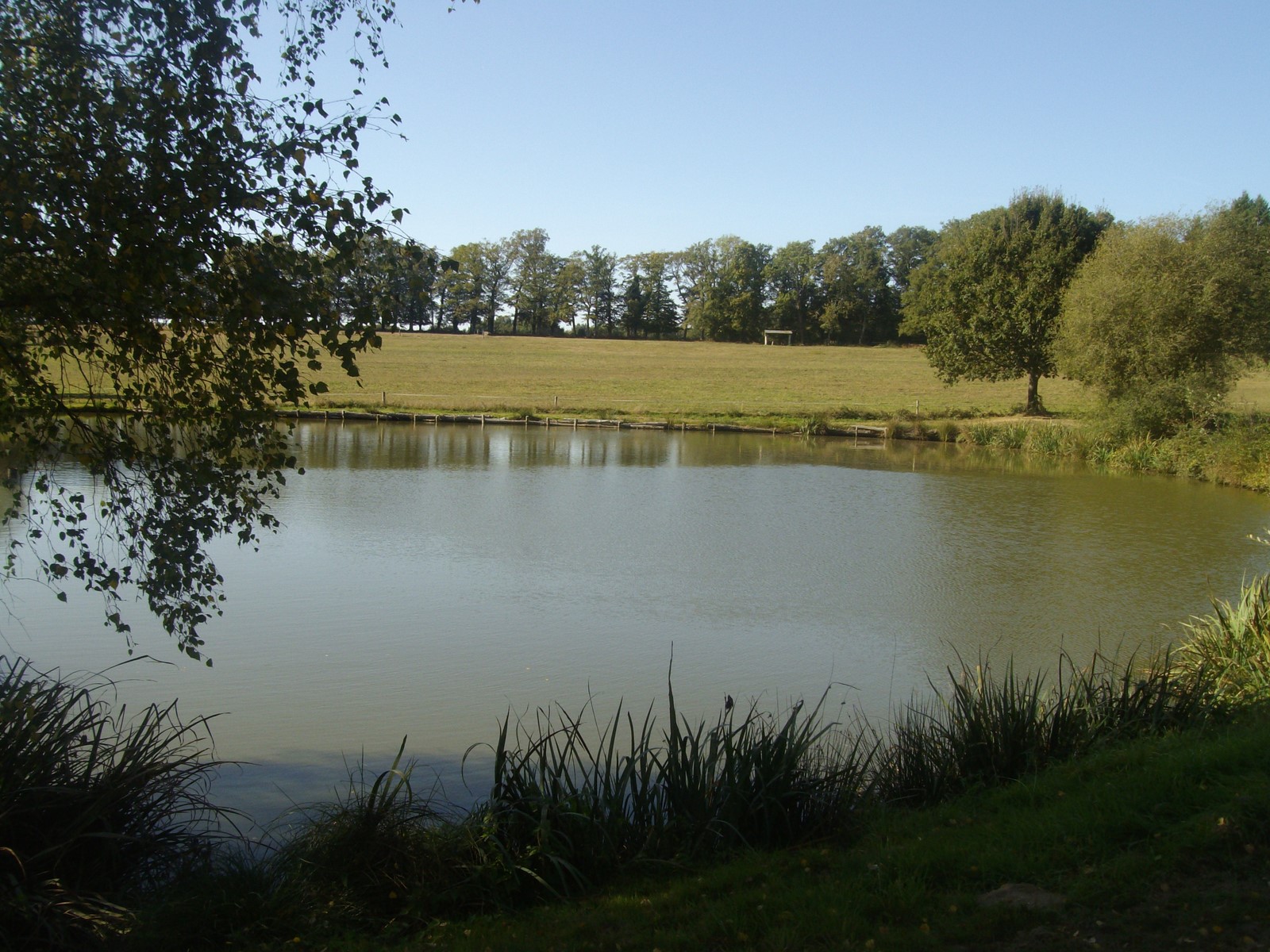 étang des bouleaux